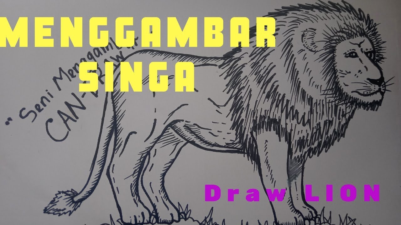 MUDAH,Belajar Menggambar SINGA Dari Sebuah Kata / Drawing LION. - YouTube