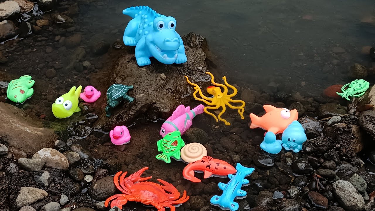 Mencari Mainan Anak-anak, Mancing Ikan Mainan, Ikan Nemo, Ikan Hiu ...