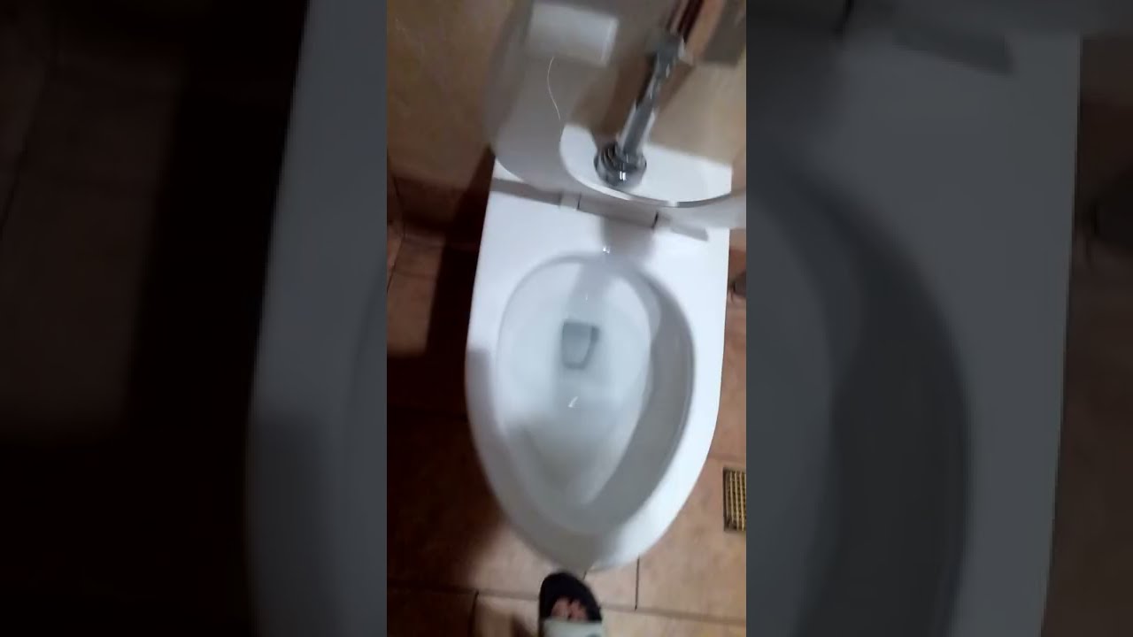 Bathroom Tour: Family restroom with a Toto CT705 toilet - YouTube