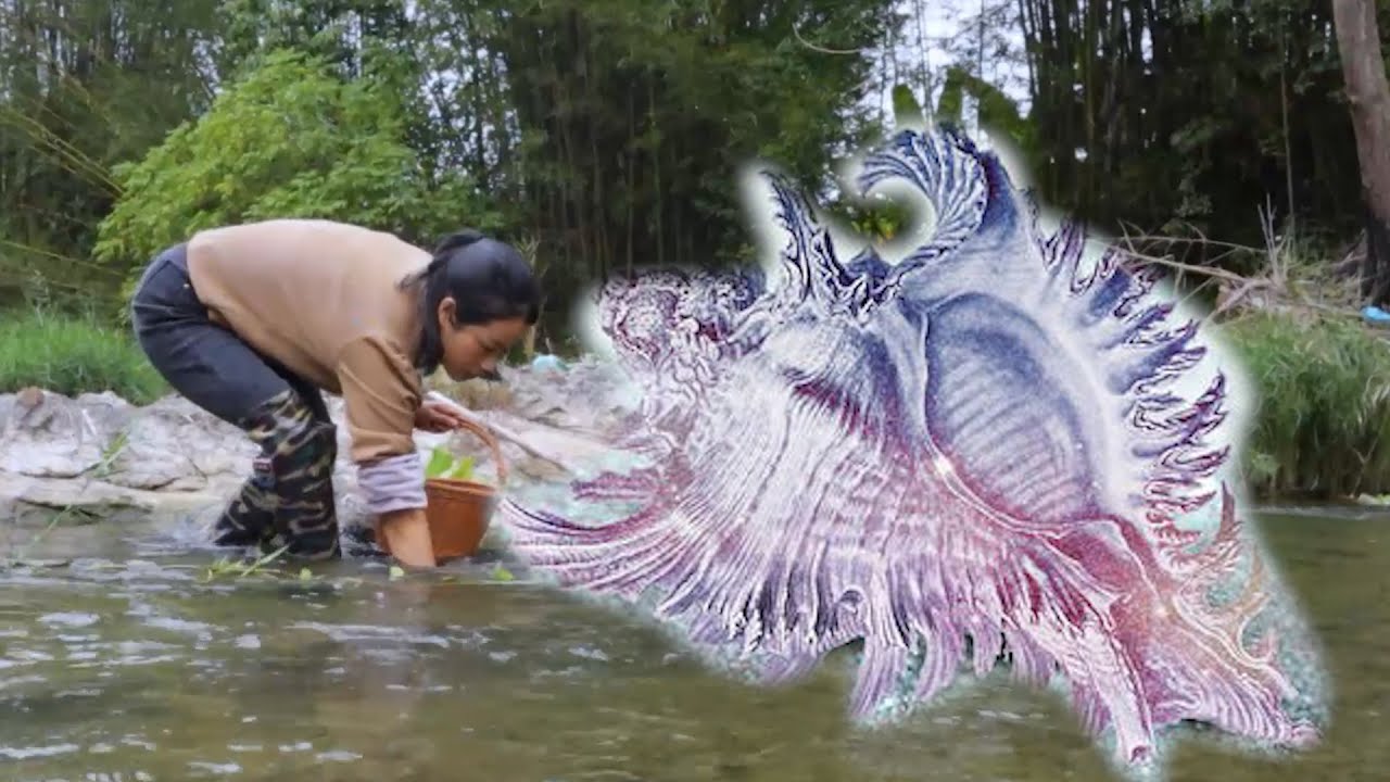 The Phoenix Butterfly Pearl is one of the rare pearls, priced at tens ...