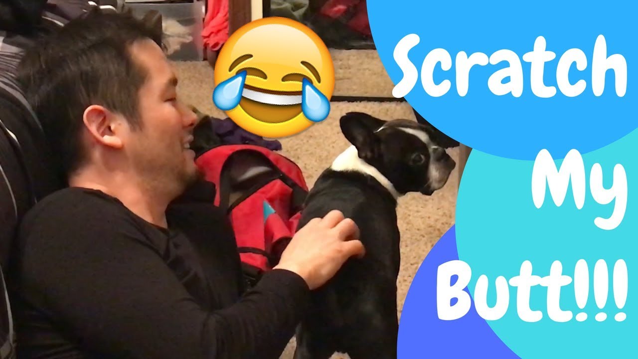 SCRATCH MY BUTT!!! - Our Millennial Marriage Vlogs - YouTube