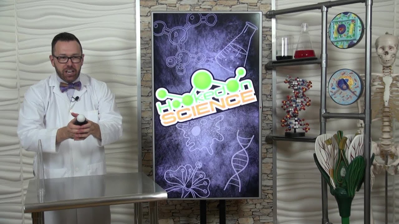 Hooked on Science: Turkey Baster Ping Pong Ball Launcher - YouTube