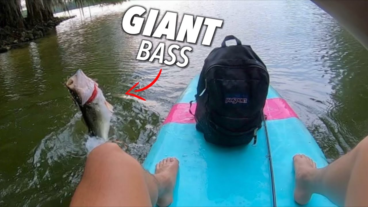 CRAZY Whopper Plopper Paddle Board Fishing!!! - YouTube