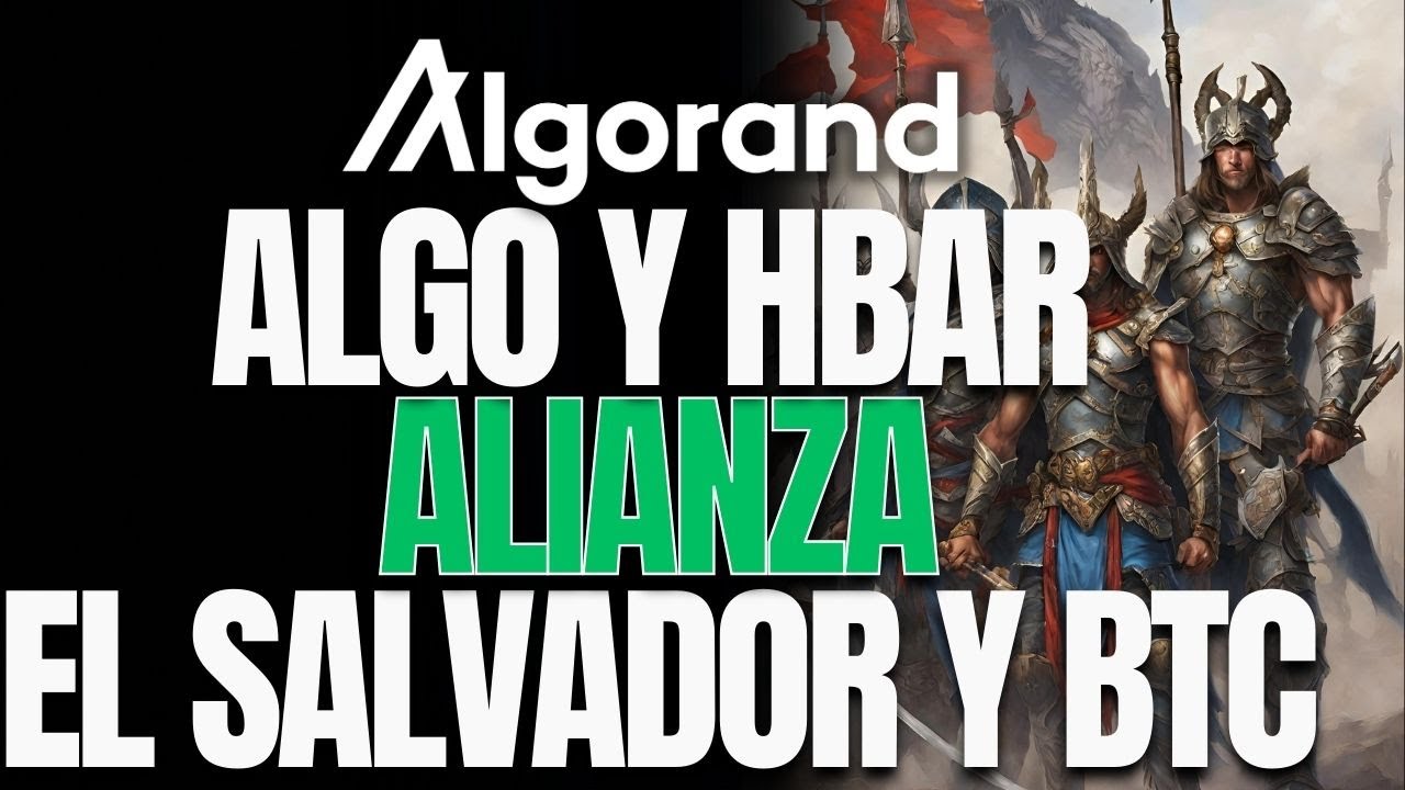 ALGORANDO ALGO⚠️ALIANZA ENTRE HEDERA Y ALGORAND🚨EL SALVADOR Y ALGO ...