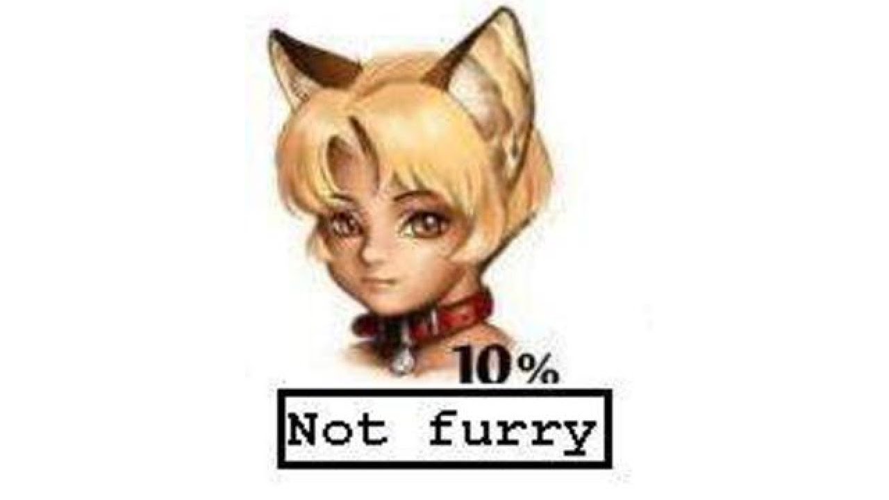 The Furry Scale - YouTube