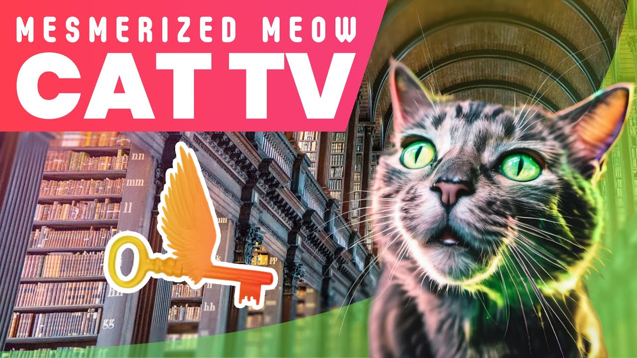 CAT TV - BRILLIANT FLYING KEYS 🗝️ 😺 (GAME FOR CATS TO WATCH) - YouTube