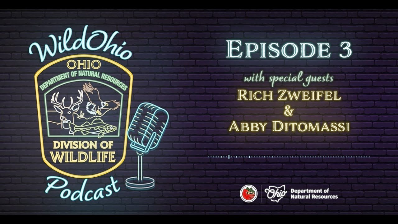 WildOhio Podcast Episode 3 - YouTube