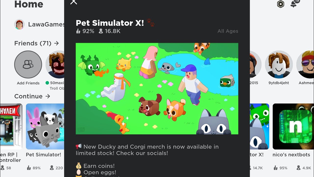 New pet sim z in roblox 😀 - YouTube