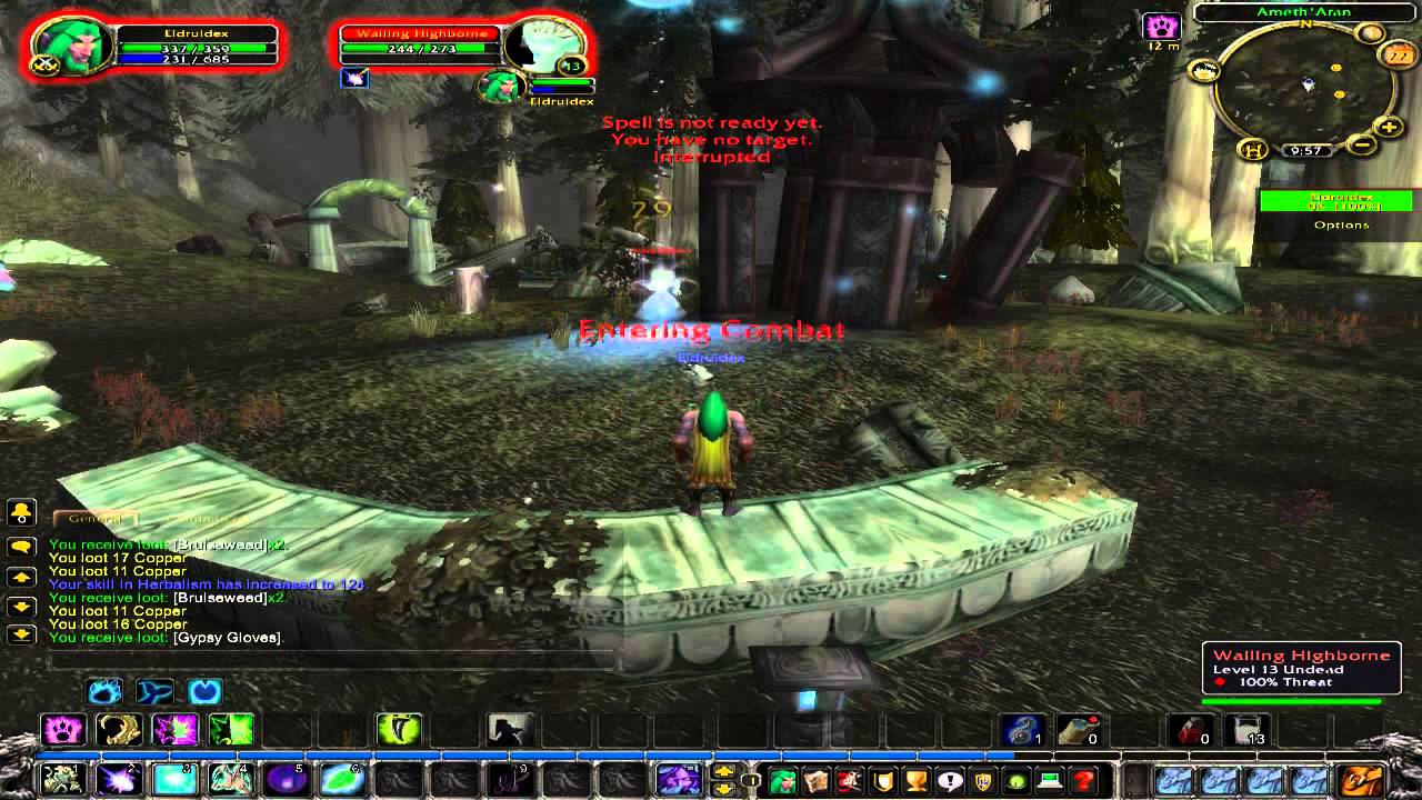 World of Warcraft en WOWArg Misión La caída de Ameth'Aran (The Fall Of ...