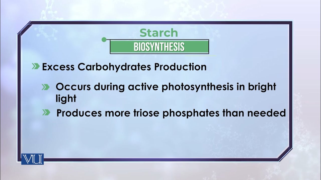 Biosynthesis of Starch | Biochemistry II (Theory) | BIO506T_Topic111 ...