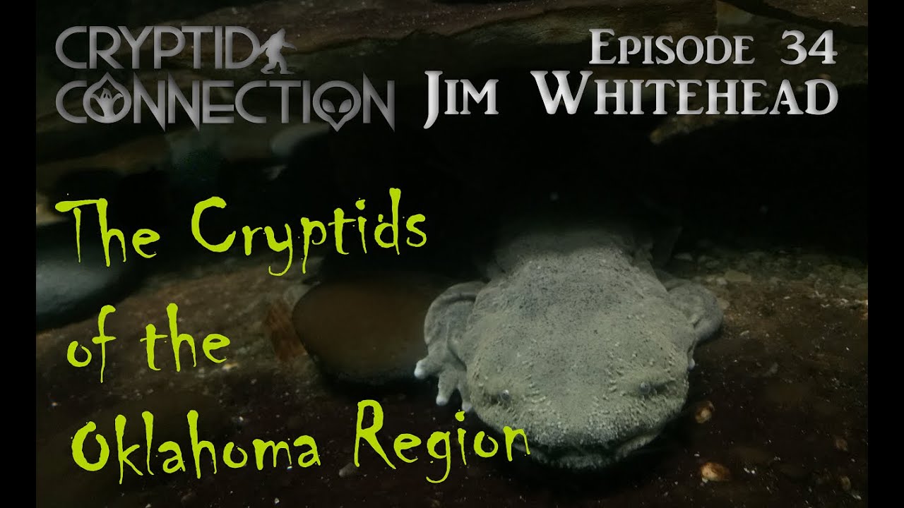 Episode 34 Jim Whitehead and the Cryptids of the Oklahoma Region - YouTube