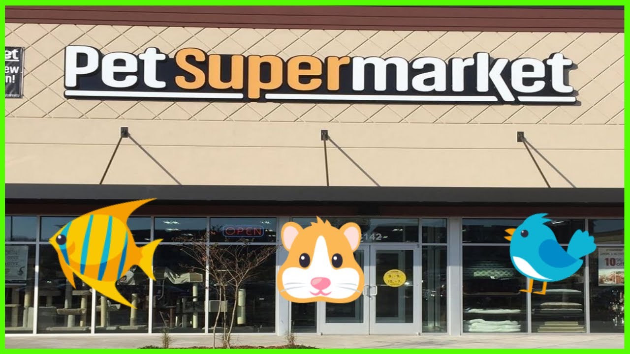 Family Fun Trip to Pet Store for Kids - YouTube