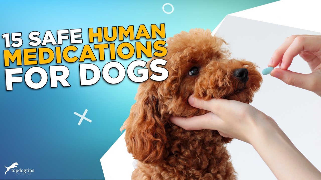 15 Safe Human Medications for Dogs - YouTube