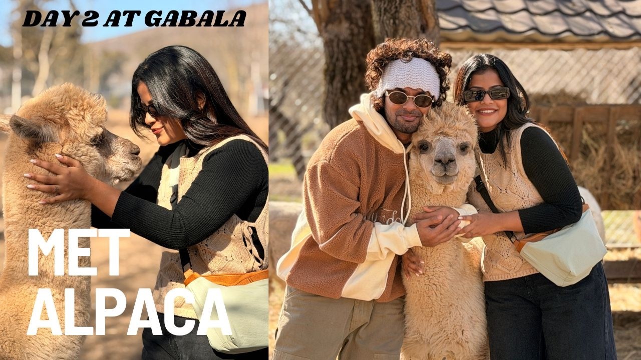 Exploring Beautiful Gabala | First Time Meeting Alpacas | TheDKtales ...