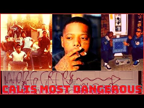 Who are the Playboy Gangster Crips? |The story of one of West Los Angeles most dangerous crip ...