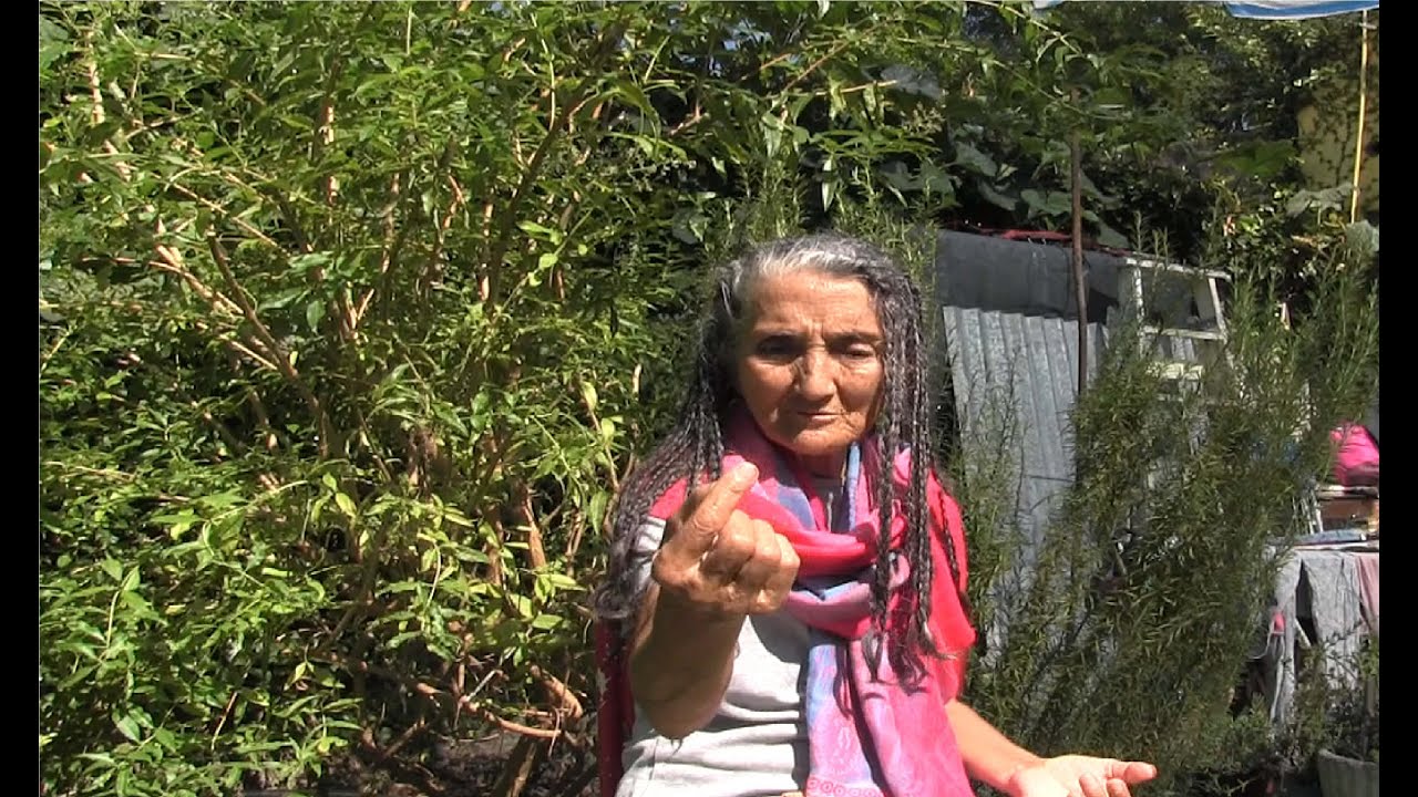 ABUELA KIHILI KUNTURPILLKU. EL DIA que NOSOTROS CALLARAMOS las PIEDRAS ...