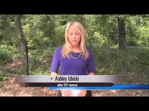 Candi Morris News Report - YouTube