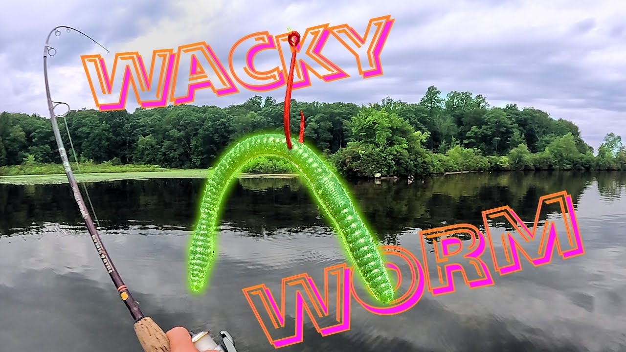 Wacky Worm Rig! - YouTube