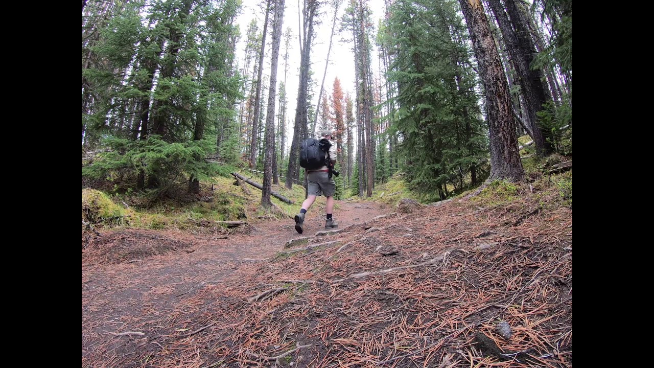 moose lake loop - YouTube