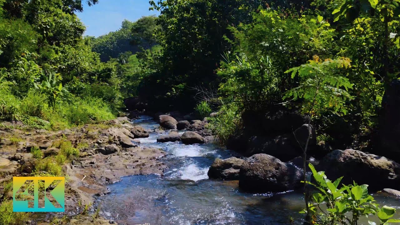 Peaceful Nature Sounds to overcome insomnia, relieve stress and calm ...