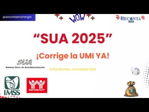 SUA 2025: Corrige la UMI fácilmente y evita multas del IMSS - YouTube