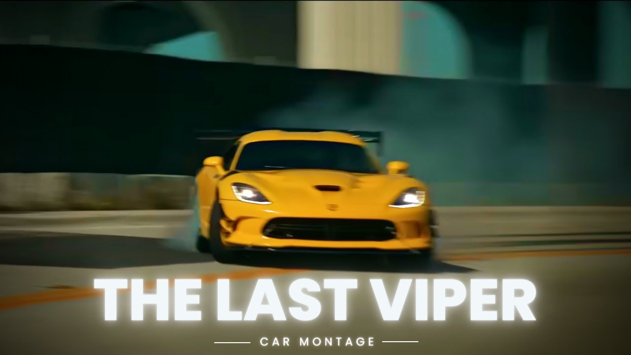 The Last Viper x I Was Never There - YouTube