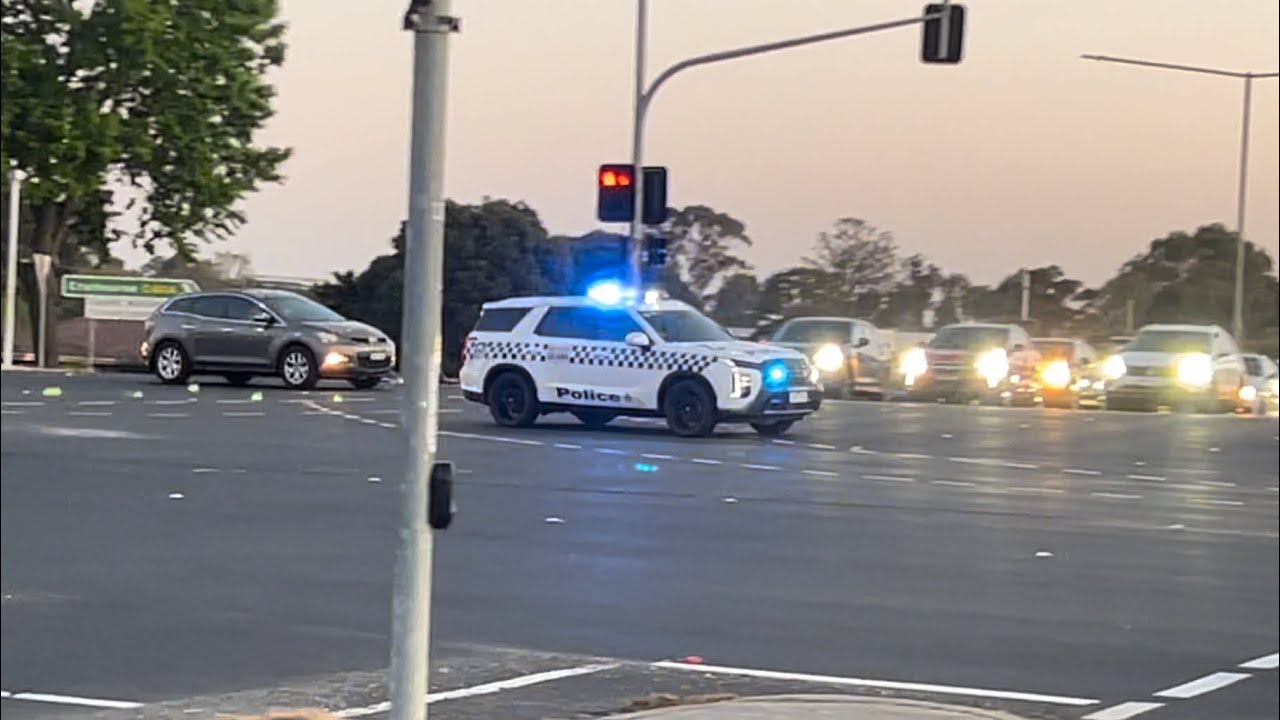 VicPol new Palisade vehicle responding code 1 - YouTube