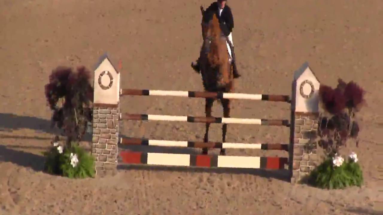 Video of LINCOURT GINO ridden by ALEJANDRO KAROLYI from ShowNet! - YouTube