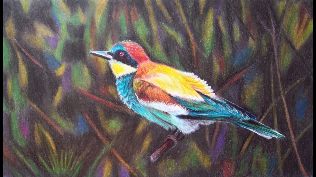 Pintura de pássaro com lápis de cor Maped Color’peps / Bird drawing ...