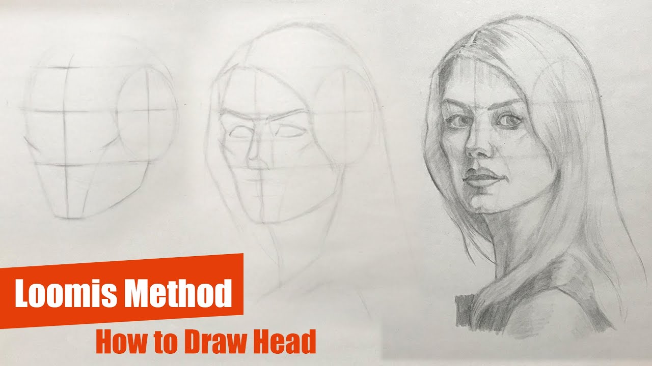 How to Draw Head using Loomis method - female head drawing - YouTube