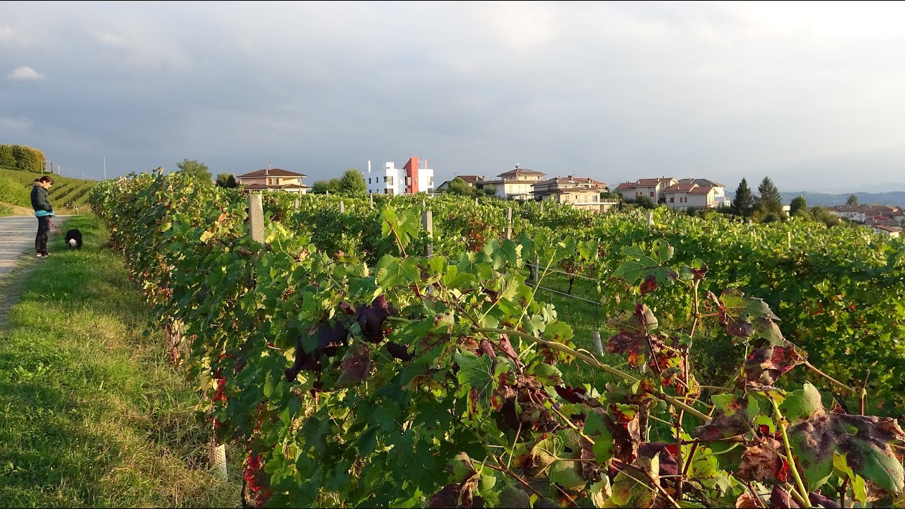 CASTELROTTO - GUARENE - DOCUMENTAZIONE - YouTube
