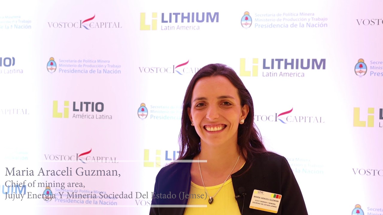 Maria Araceli Guzman, Jefa de área minera, Jujuy Energía Y Minería ...