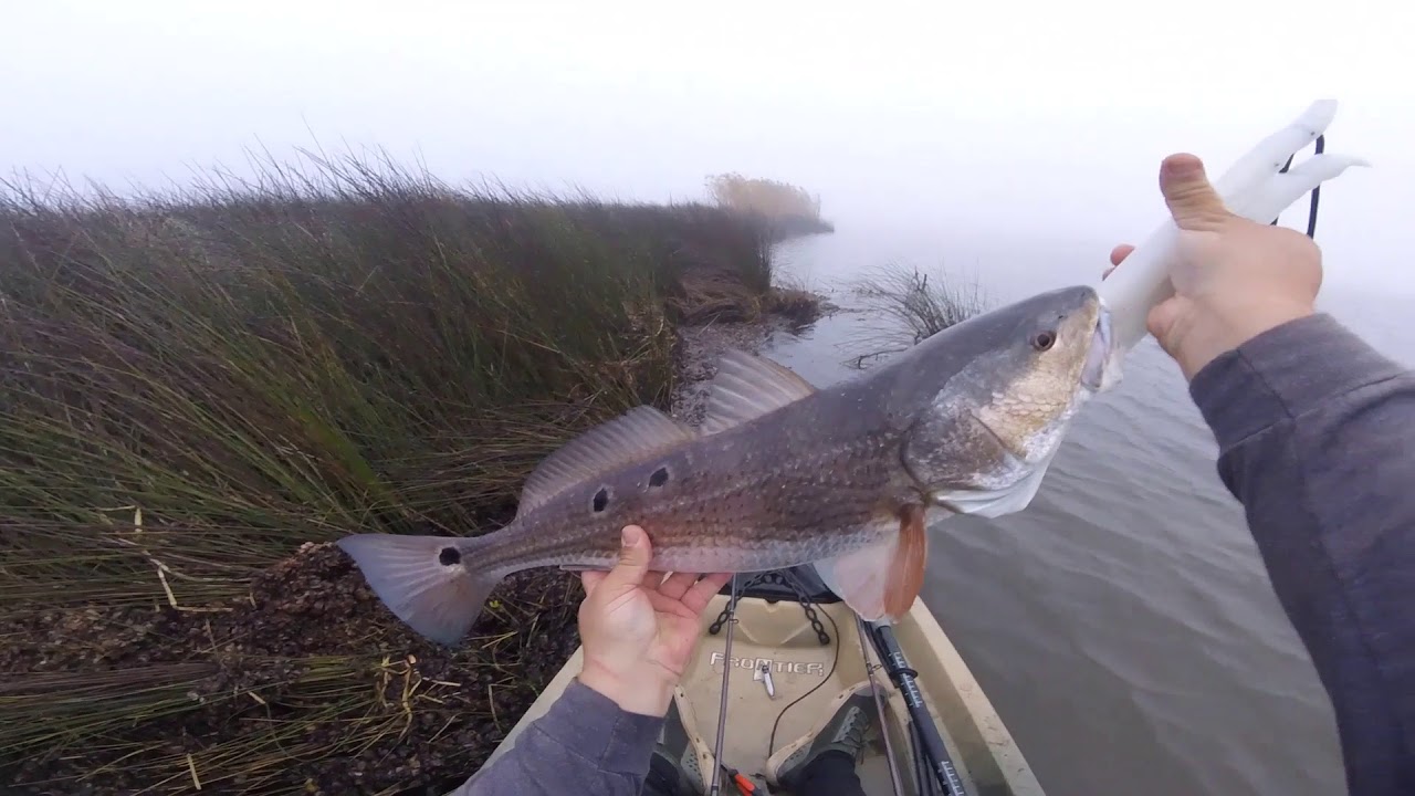 Redfish In Louisiana Bayou Fishing Out Of My Nucanoe Frontier 12 - YouTube