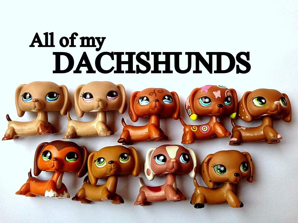 Moje jamniki LPS ~ All of my LPS Dachshunds - YouTube