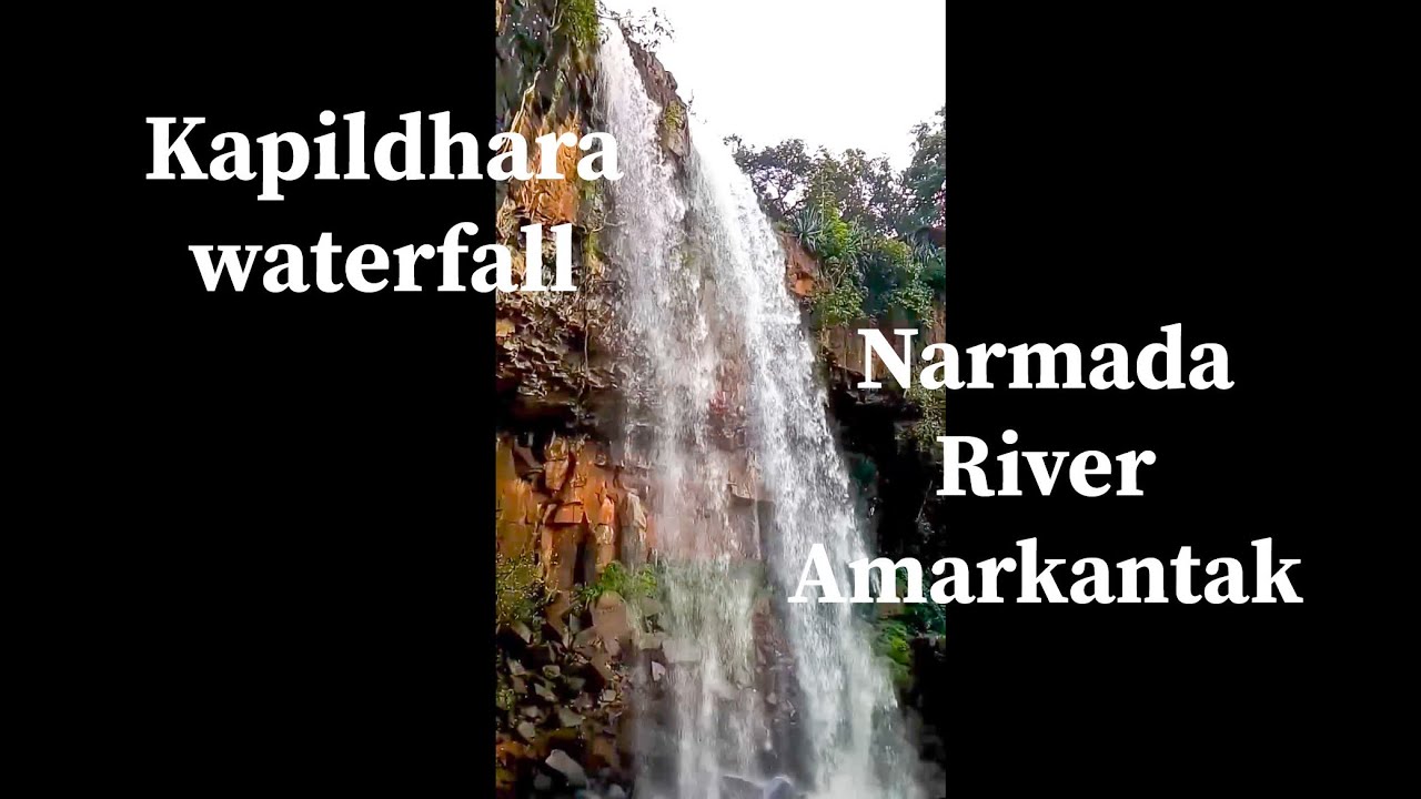Kapildhara water fall on Narmada river near amarkantak | Narmada river ...