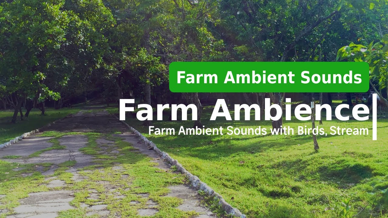ASMR Ambience Farm | Farm Ambient Sounds with Birds, Stream | Cozy ...