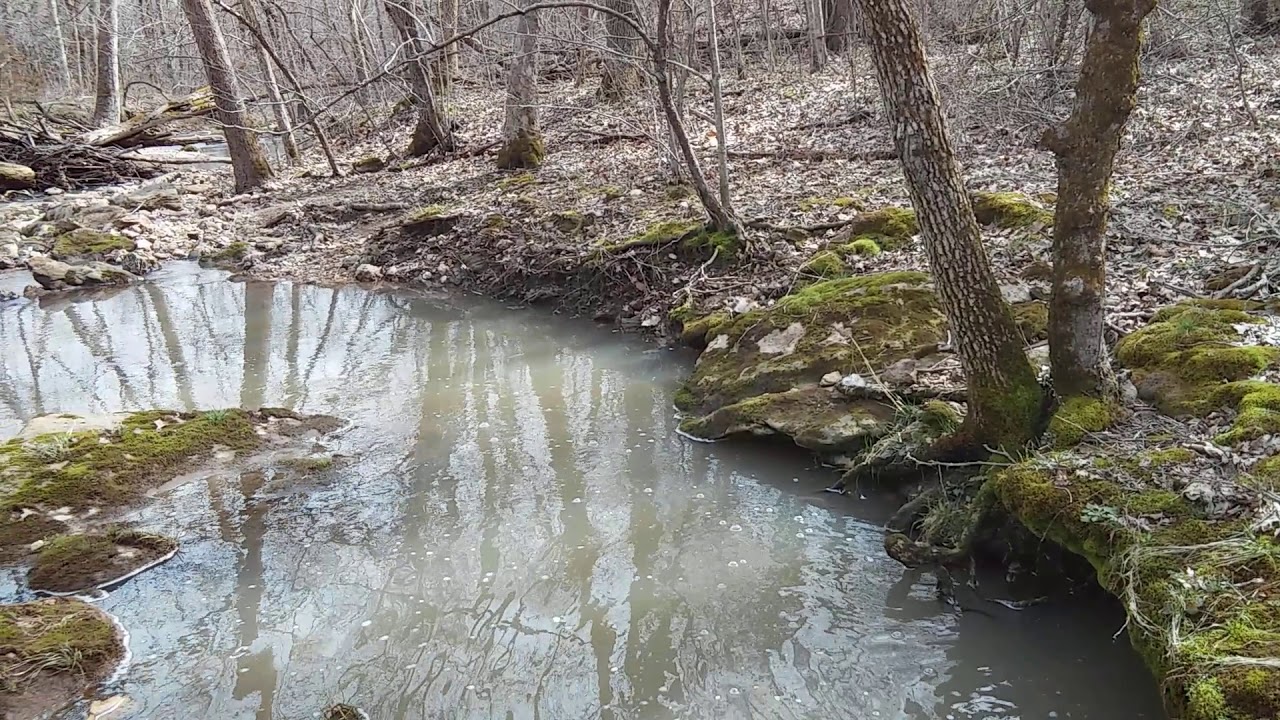 A moment enjoying the farm stream.... - YouTube