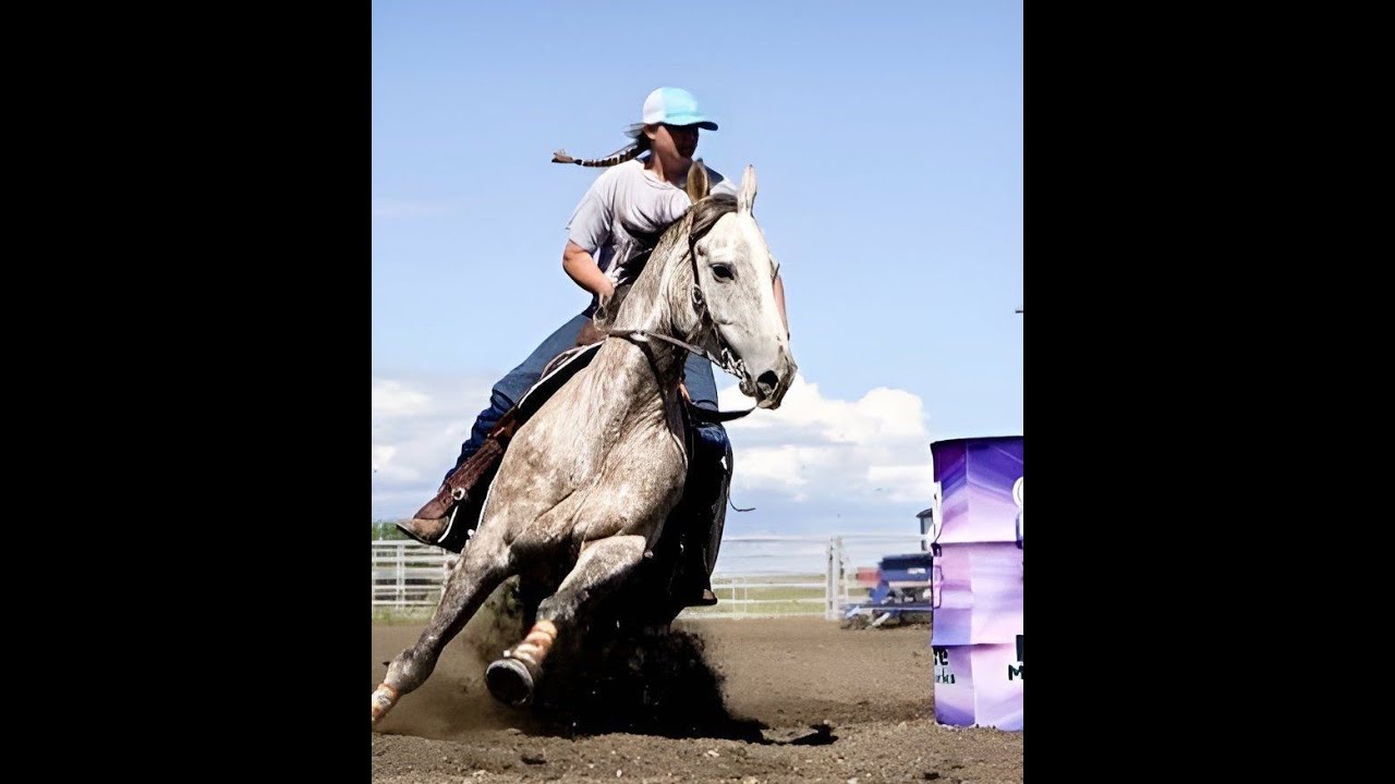 Arena, Barrel Stills, Slow Barrel Work Footage of Docs Lock N Load 10 ...