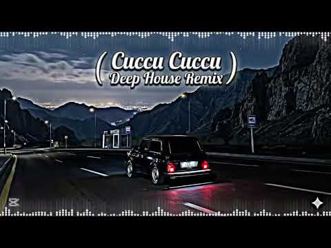 Cuccu Cuccu (Remix) | Energetik Bass və Modern Ritmlər 🎧🔥{ Azeri Bass } Remix 