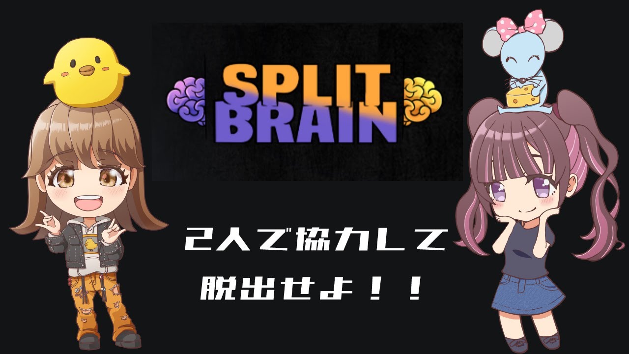【SPLIT BRAIN】チームワークが最強に試されるゲーム【ひなうぉぬ】 - YouTube