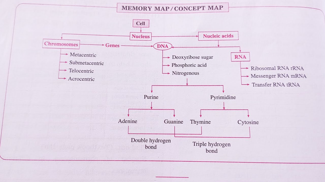 Exercise class 9 Science 16. Heredity and Variation, Exercise heredity ...