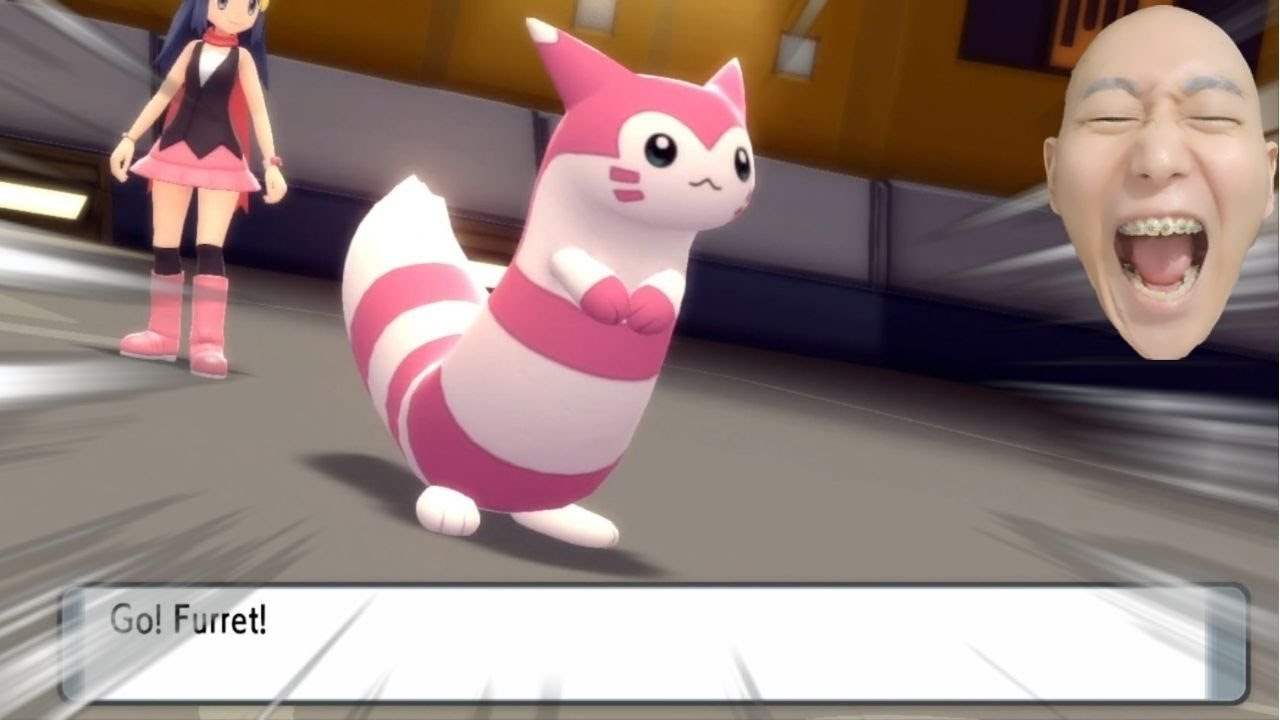 FURRET is still the Best Pokemon! (Ranked Battle rules) | Pokemon BDSP ...