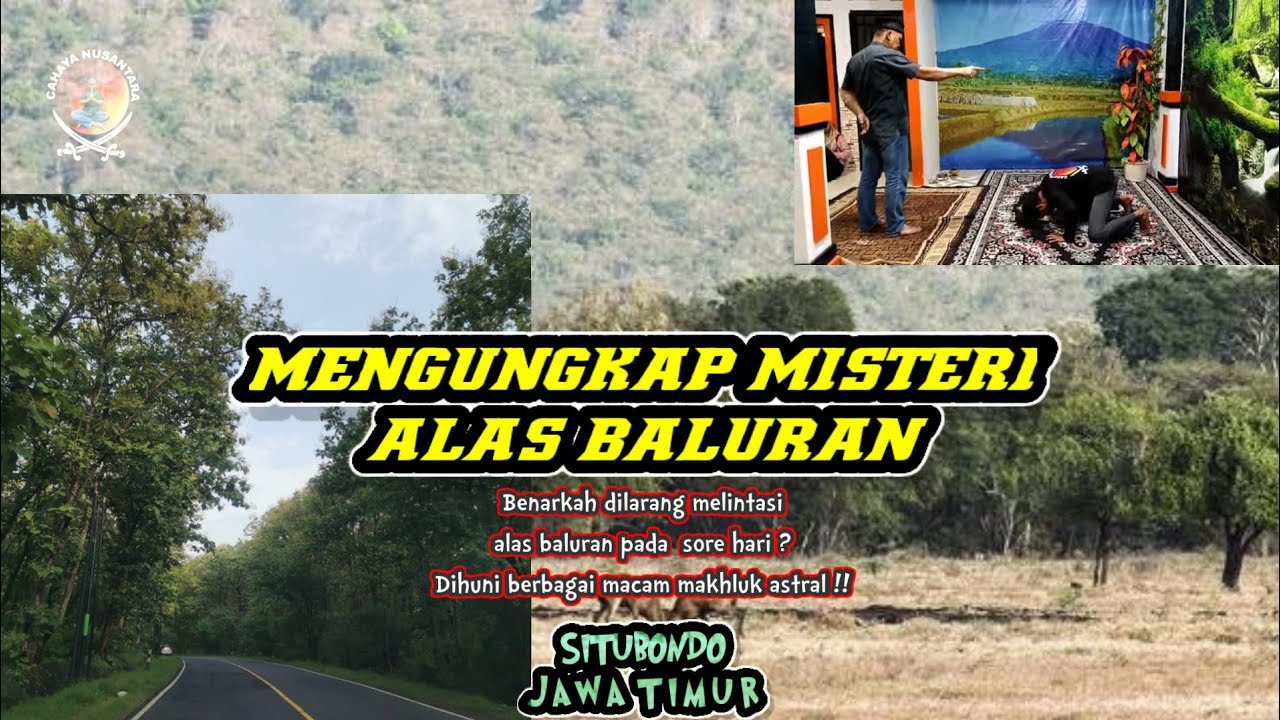 🔴 LIVE !! MENGUNGKAP MISTERI ALAS BALURAN ( SITUBONDO - JAWA TIMUR ...