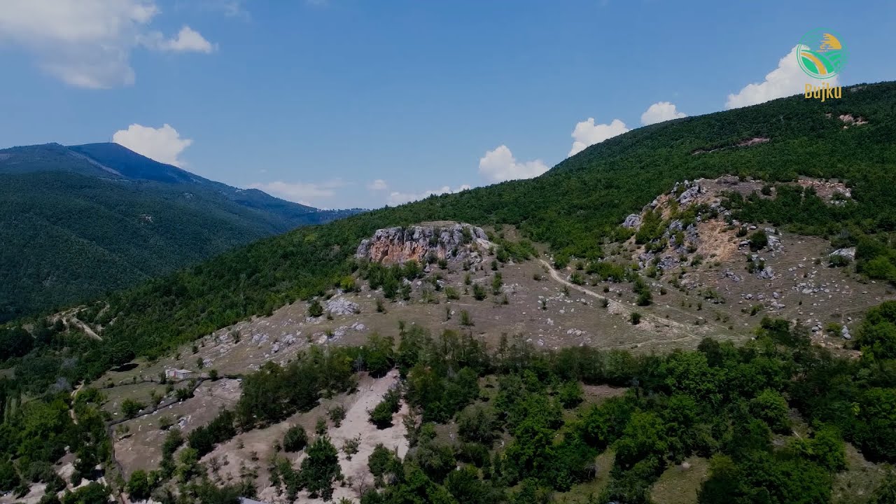 Bujku 14.08.2022 - YouTube