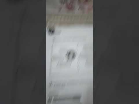 الصف الخامس ..كتاب النشاط ..يونت 1الدرس 1... للطالبة المبدعة جنة عدي ..انتظام A