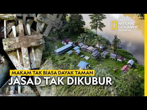 KULAMBU : TRADISI TAK BIASA PEMAKAMAN JENAZAH SUKU DAYAK TAMAN - NATIONAL GEOGRAPHIC INDONESIA