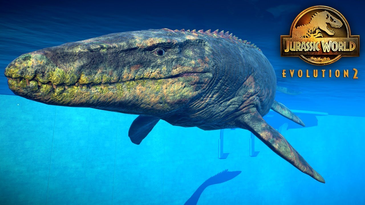 Building a Prehistoric Aquarium! JW Evolution 2 - YouTube