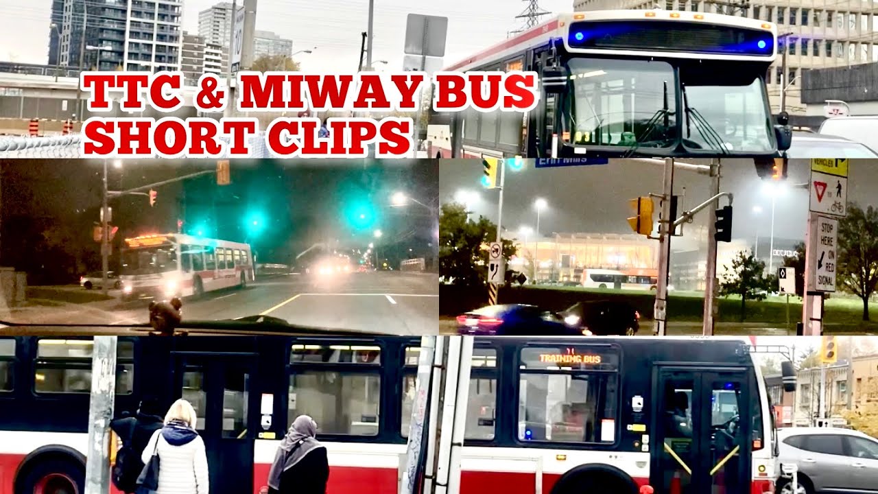 TTC & MIWAY TRANSIT CLIPS 10/31-11/01/2022 - YouTube