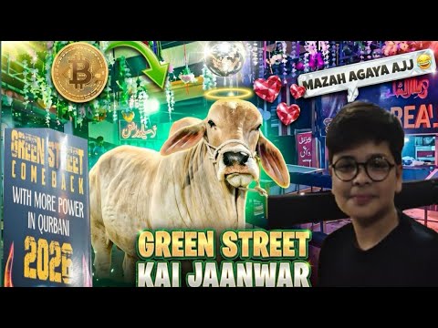 Qurbani 2026 Green Street Shinwari House 😊|| Gulshan Iqbal || #@ismailvlog-5vp