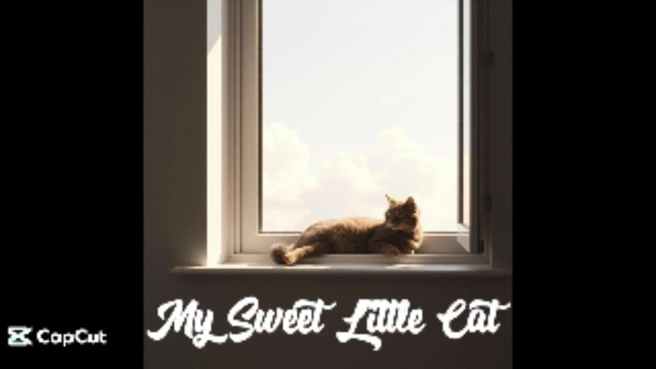 My Sweet Little Cat - AI Song - YouTube